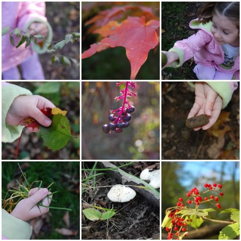 20 Must-Do Favorite Activities for Fall - Inner Child Fun