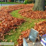 Leaf Maze! - Inner Child Fun