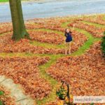 Leaf Maze! - Inner Child Fun