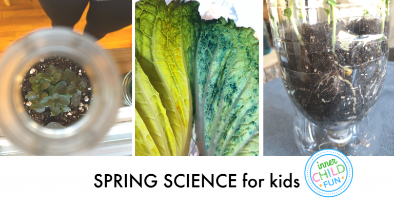 Simple Spring Science Projects for Kids - Inner Child Fun